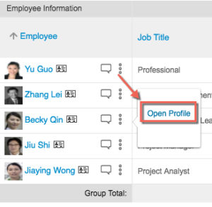 SuccessFactors Compensation and Variable Pay - Compensation Profile ...